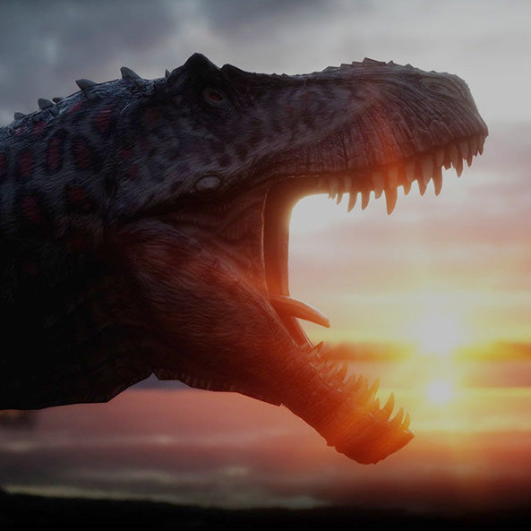 Unique Wedding Bands & Rings - Celestial Rex, LLC