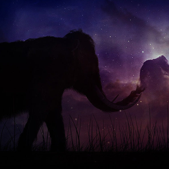 Unique Wedding Bands & Rings - Celestial Rex, LLC