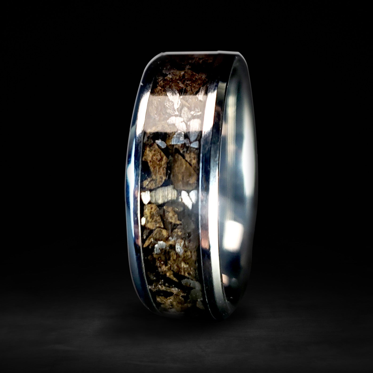 Winter Heat - T-Rex, Meteorite, Pyrite & Quartz - Celestial Rex